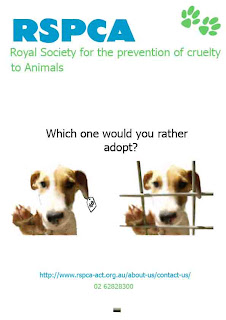 Sleepy's Blog: RSPCA poster finished!