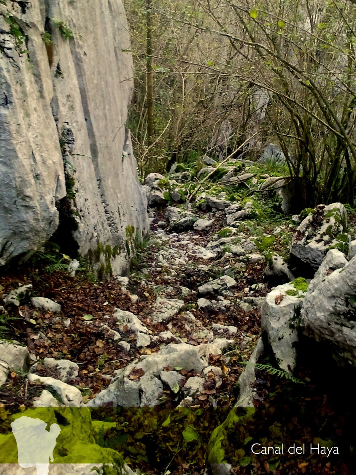 TERRITORIO MERACHO: Mirones-Miera-Linto-Ajanedo-Bordillas-Canal Haya