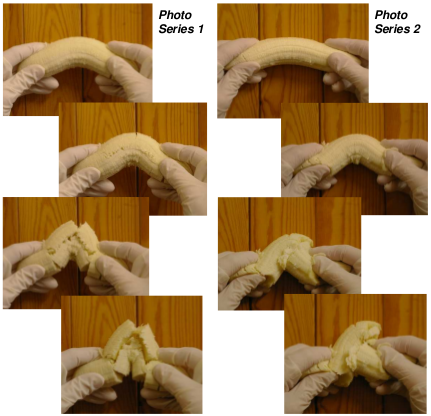 Earth Learning Idea: Banana benders - simulate geological structures