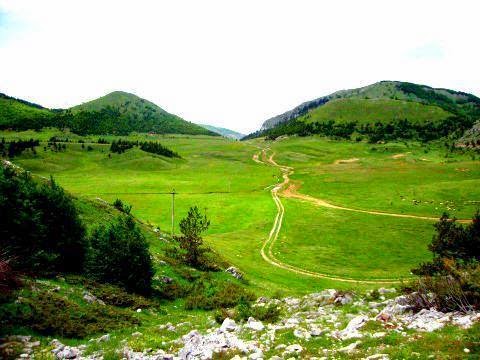 Lura herë Shtet,herë Kryeqytet,herë Mbret,herë për vete,gjithmonë për ...