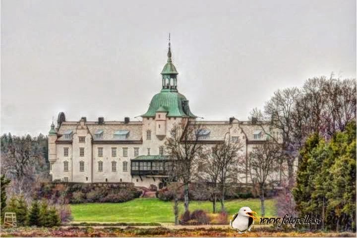 Pelles Fotoblogg: Koberg - Livered fri Safari