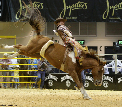 Kommoner: Fact Sheet: Rodeos