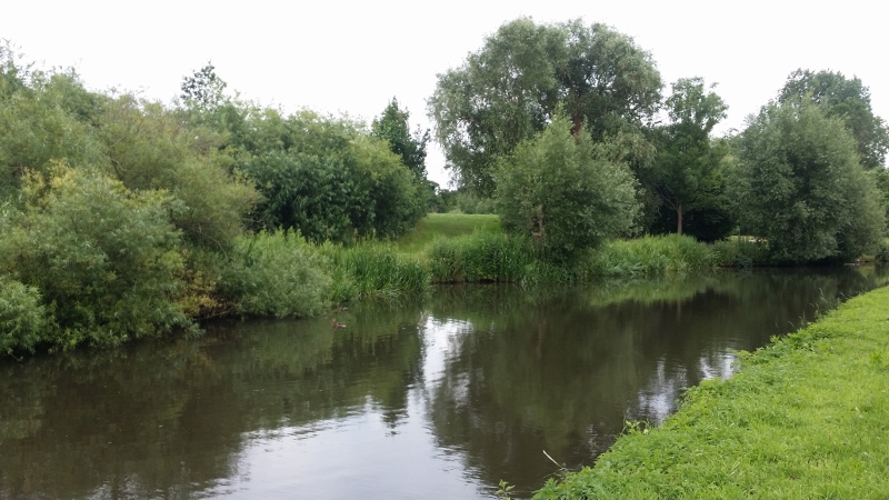 Lucy's Wednesday walks: Wolverley to Kidderminster along the Staffs and ...