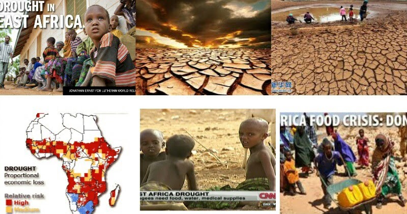 Risk Management and Opportunities: Risk management on Drought