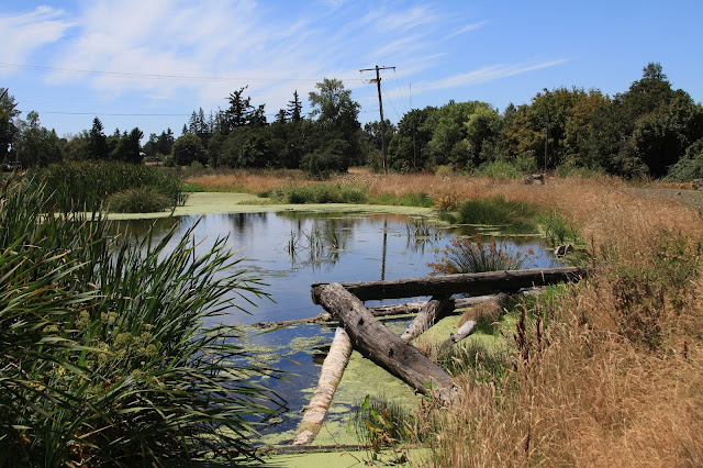 Mid Valley Blogger: Talking Waters Garden Revisited