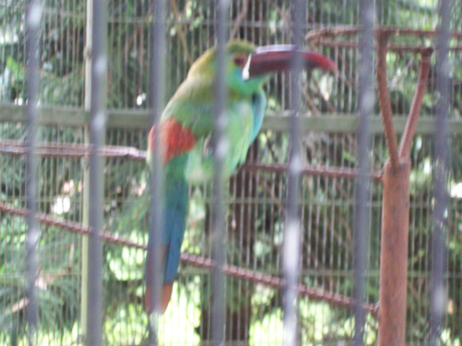 Parque Recreativo y Temático Piscilago ~ Turismo en el huila Agencia de ...