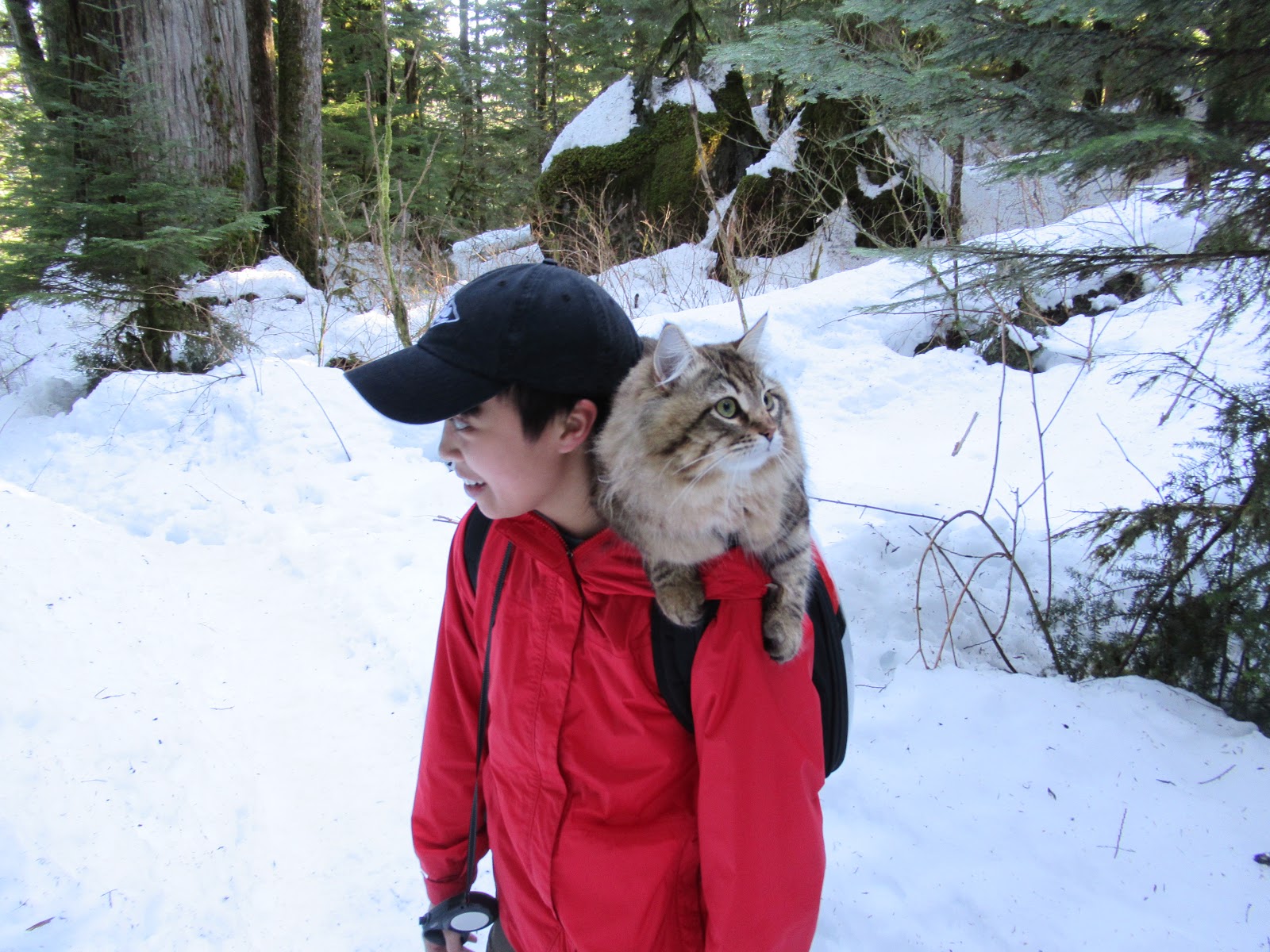 My Pacific Northwest