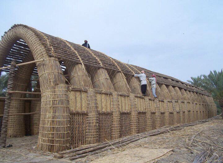 Marsh Arab Trust: The challenge of the Marsh Arabs