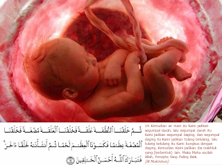 Proses Manusia di Alam Rahim | Aman Iman