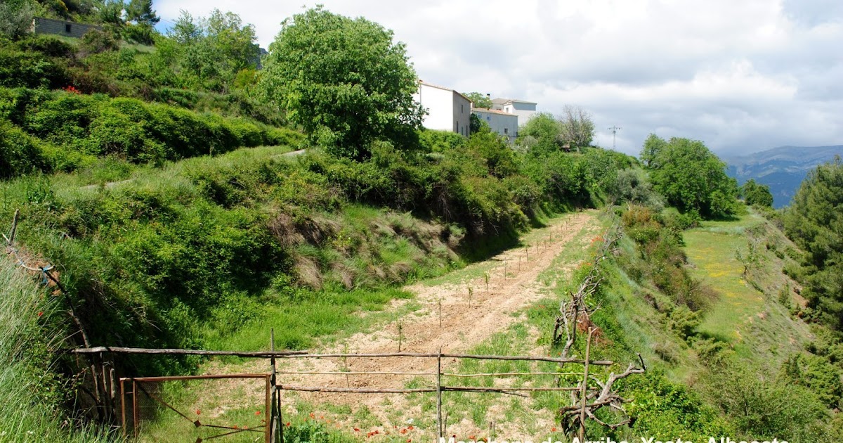 Yeste. Albacete. Paisajes: Marchana de Arriba. Yeste