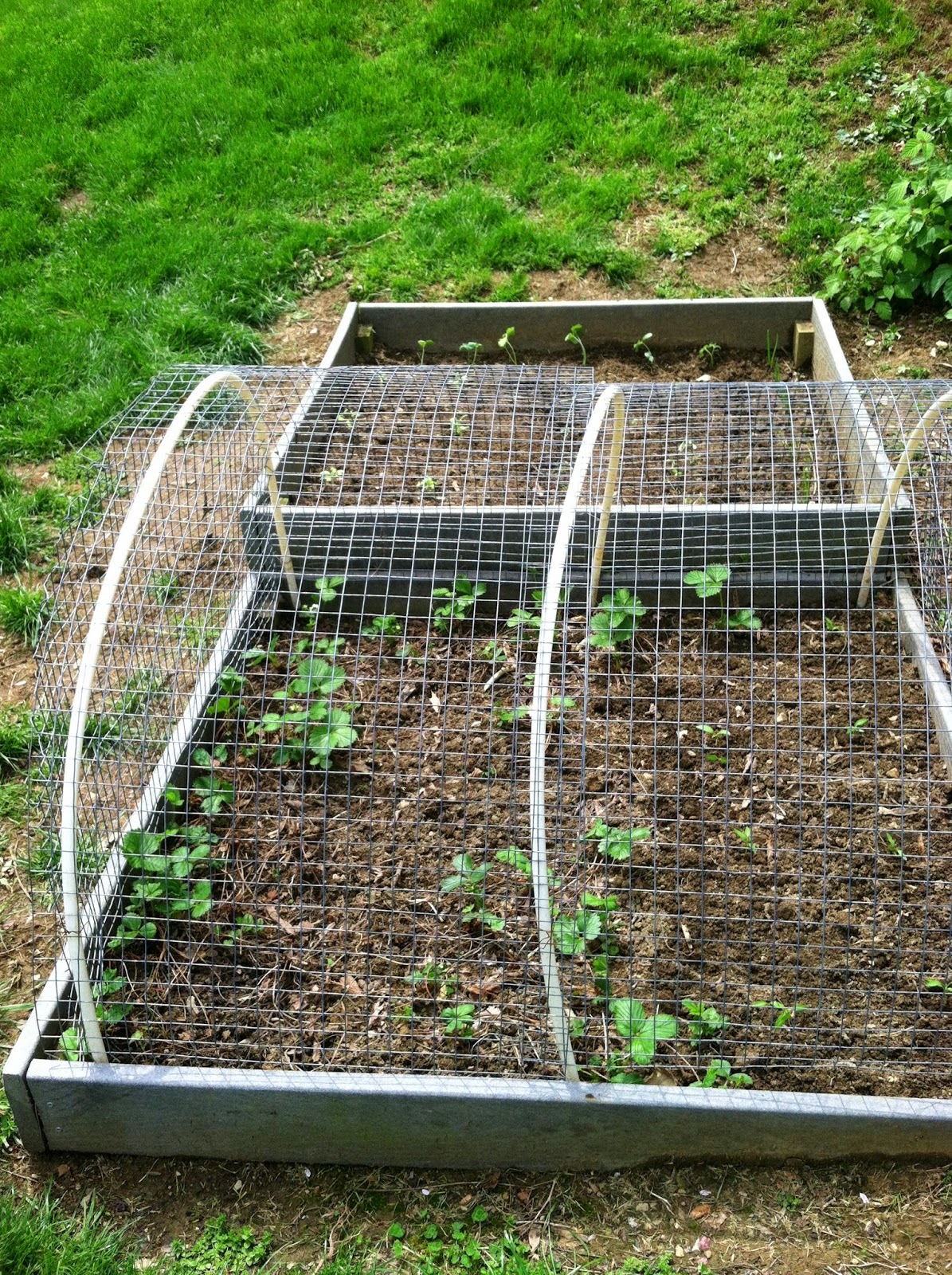 Lilliworm Organic Endeavors