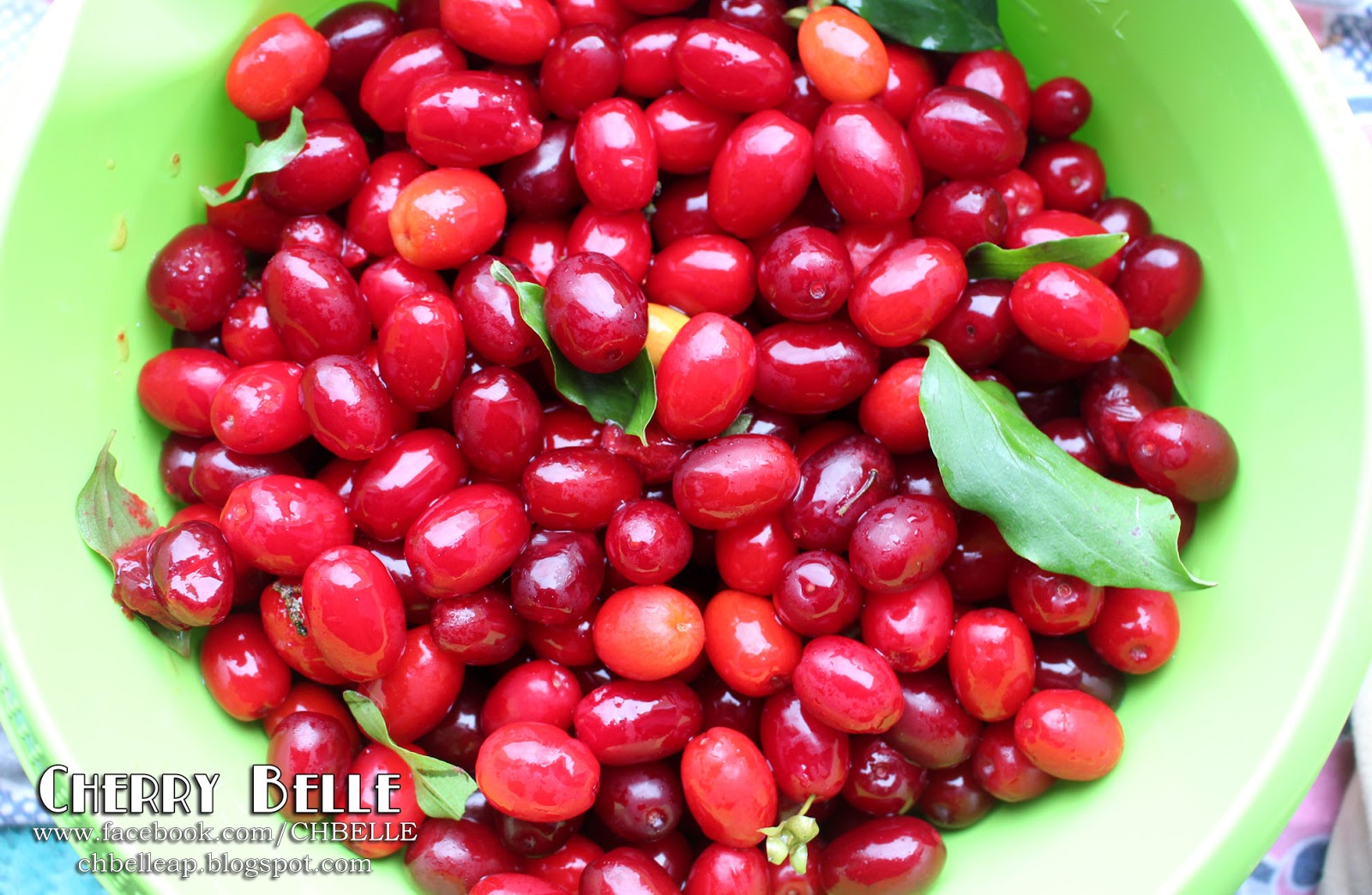 Cherry Belle Beauty & Books: Dereń jadalny – Właściwości i zastosowanie ...