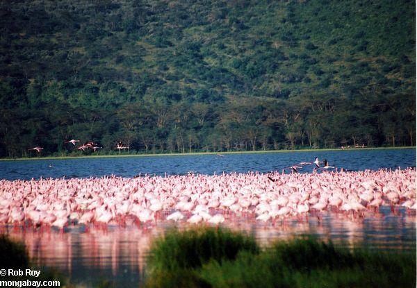 Beautiful Sceneries of Kenyan Republic: BEAUTIFUL TOURISM SITE IN ...