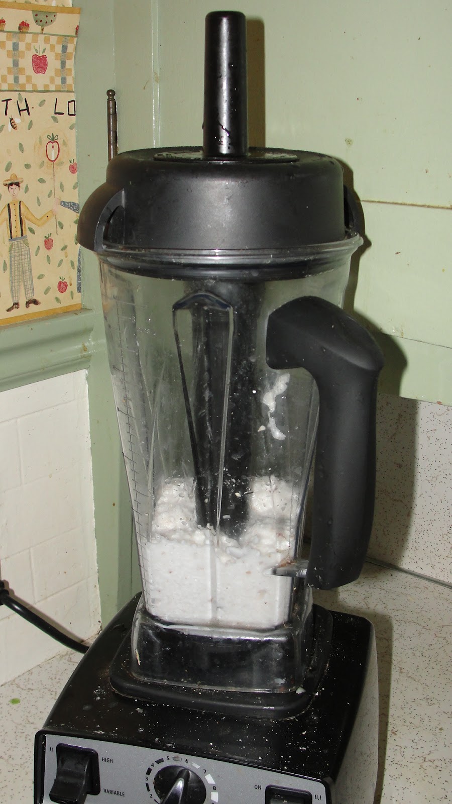 Creating The Best Life Ever: Fermented Young Thai Coconut Water Kefir
