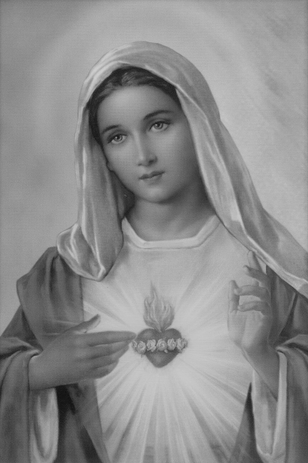 Maria Divine Mercy's Messages of The Warning and The Second Coming of ...