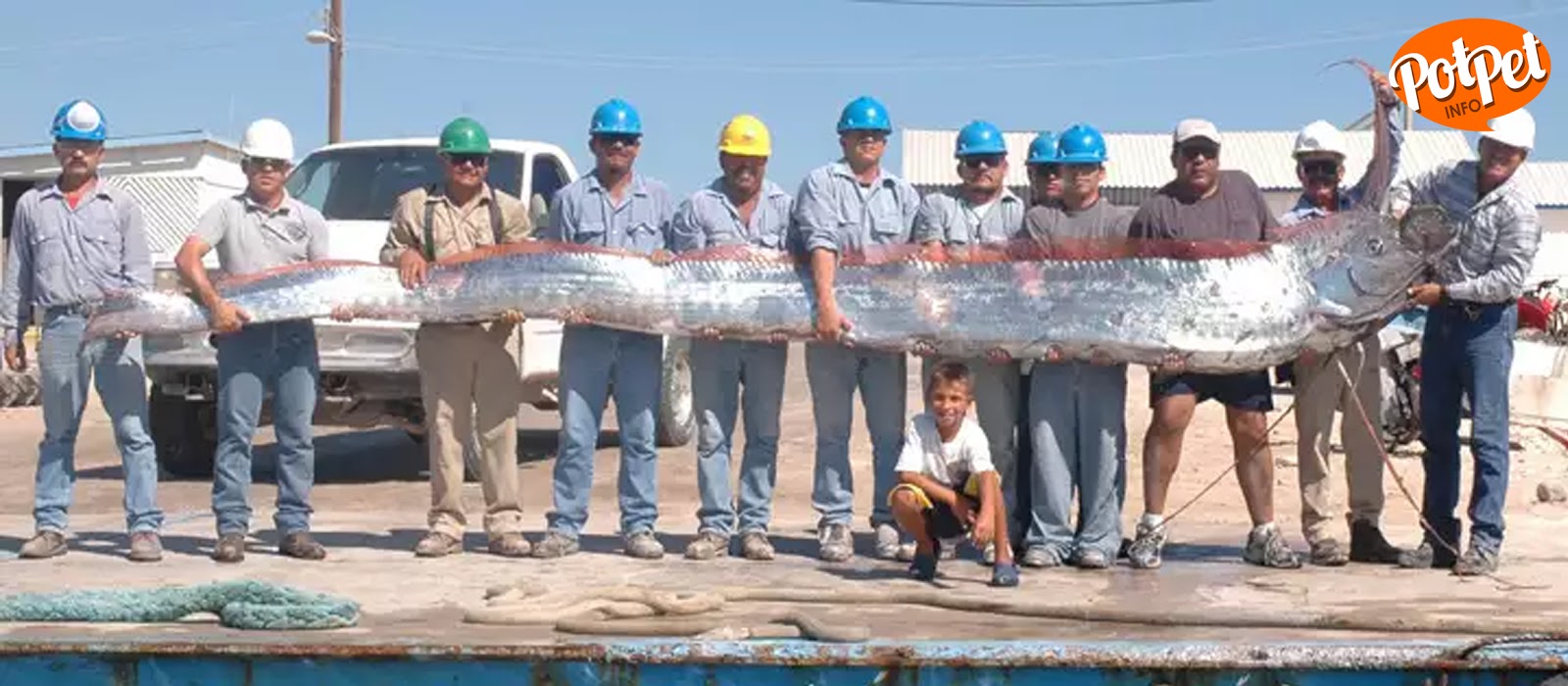 10 HAIWAN MITOS YANG SEBENARNYA WUJUD - Pot Pet Info