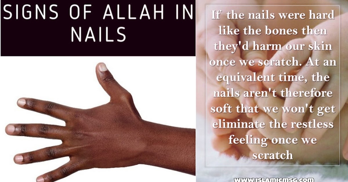 Sign of Allah in Body Parts Nails - Islam