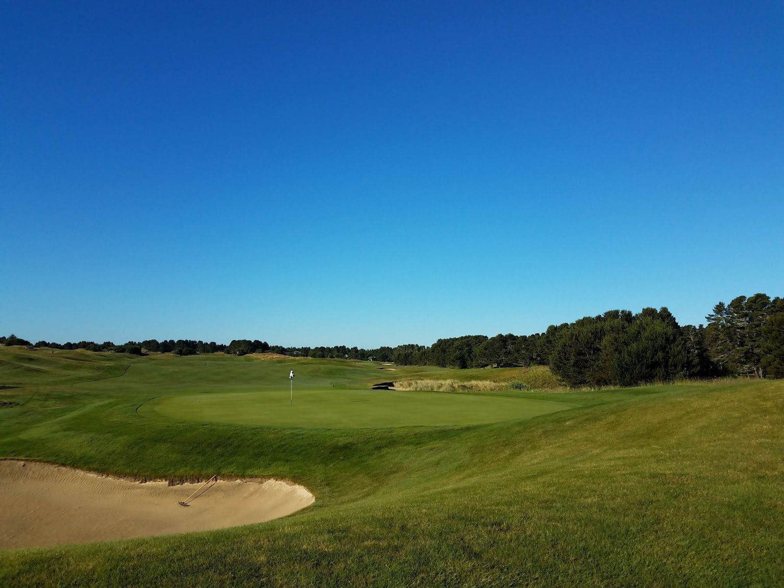Florence Golf Links: June 2018
