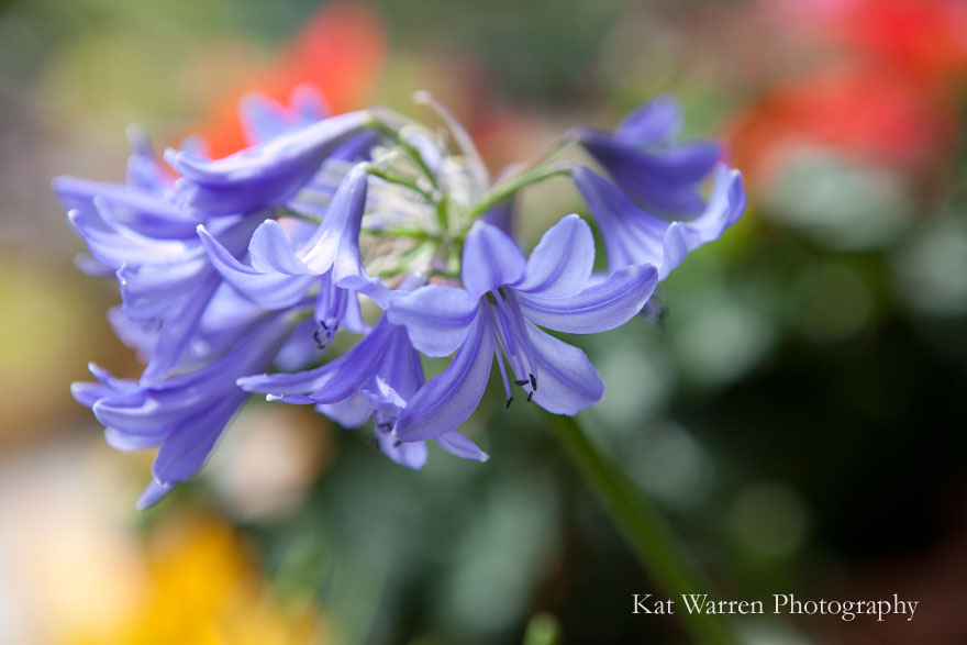 Low Tide High Style: Chatty Cathy