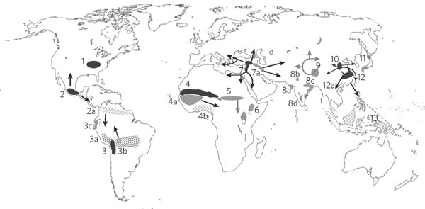 The Mermaid's Tale: A wrench in the domestication of corn story