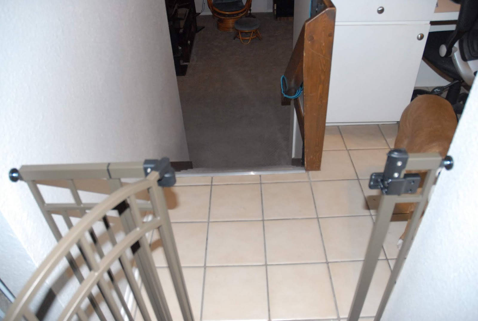 Every Blade of Grass: Set Material Condition YOKE!