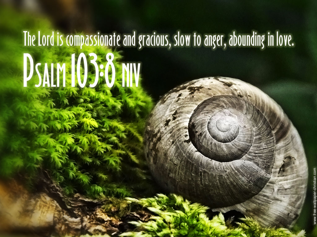 Psalm Bible Verse Wallpaper psalm-bible-verse-wallpaper