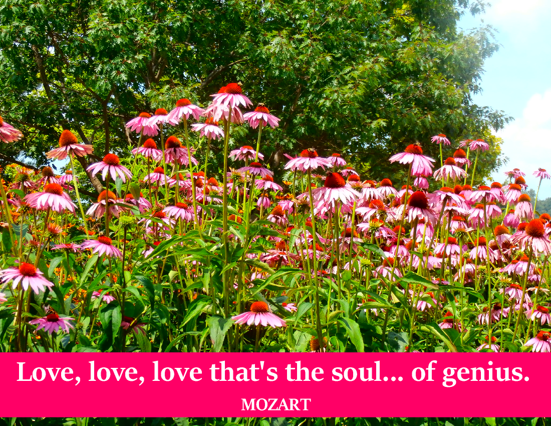 napoleons note's: Flower Gardens, Romantic Poetry of Flowers