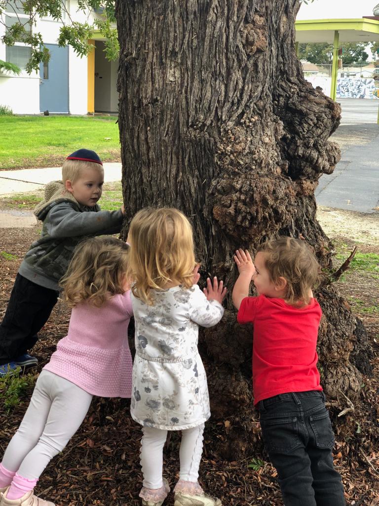Gan Camarillo Preschool: What are OUR roots?