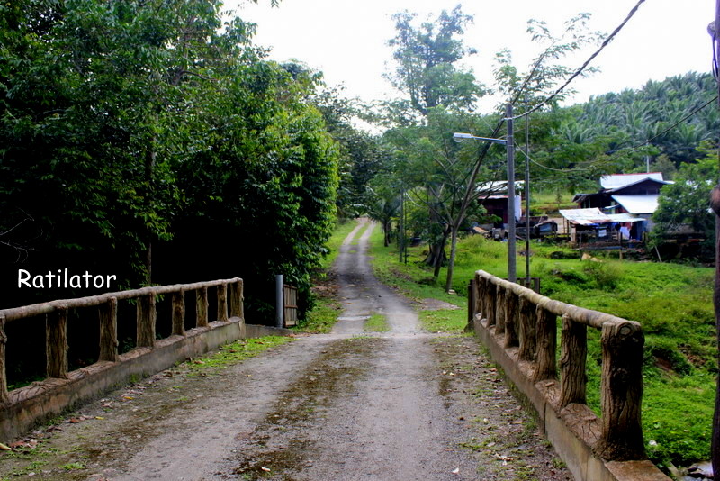 Camp Site @ El Sanctuary, Lendu