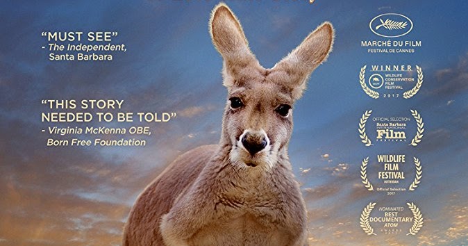 KANGAROO The Movie - Mummy Be Beautiful