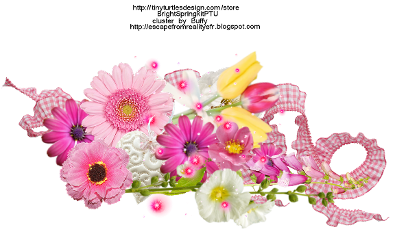 Escape From Reality Blog: FTU 'Bright Spring' Cluster & Cluster Frames