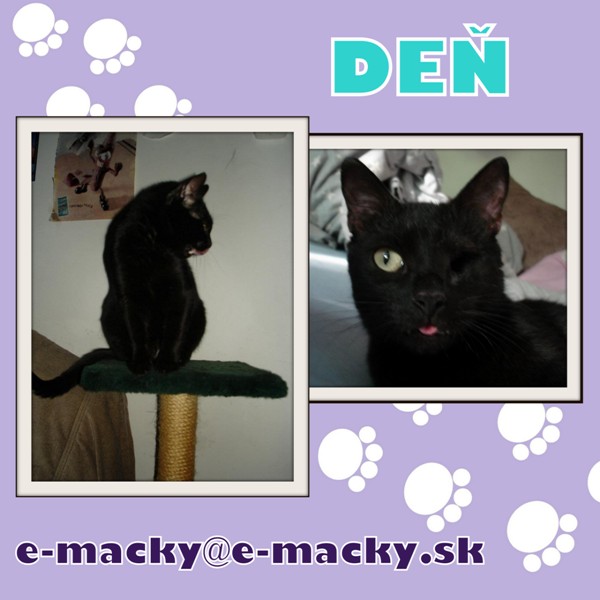 Julienna: Jednooký čierny princ