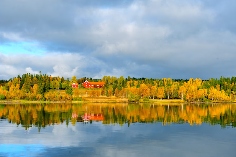 Merlin and Rebecca: A Dinner in The Woods: Fäviken Magasinet