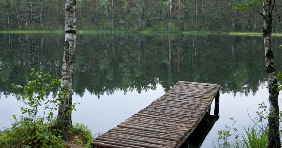 Lietuvos ežerai: Apie ežerus