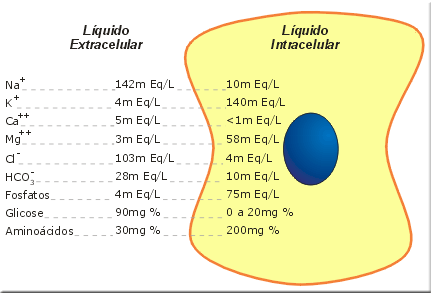 Fisiologia Humana: Fisiologia da Membrana Celular
