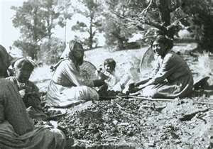 Washoe Indians: Food