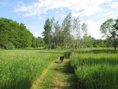Discovering Michigan: State Park: Pontiac Lake Recreation Area #1 (Hiking)