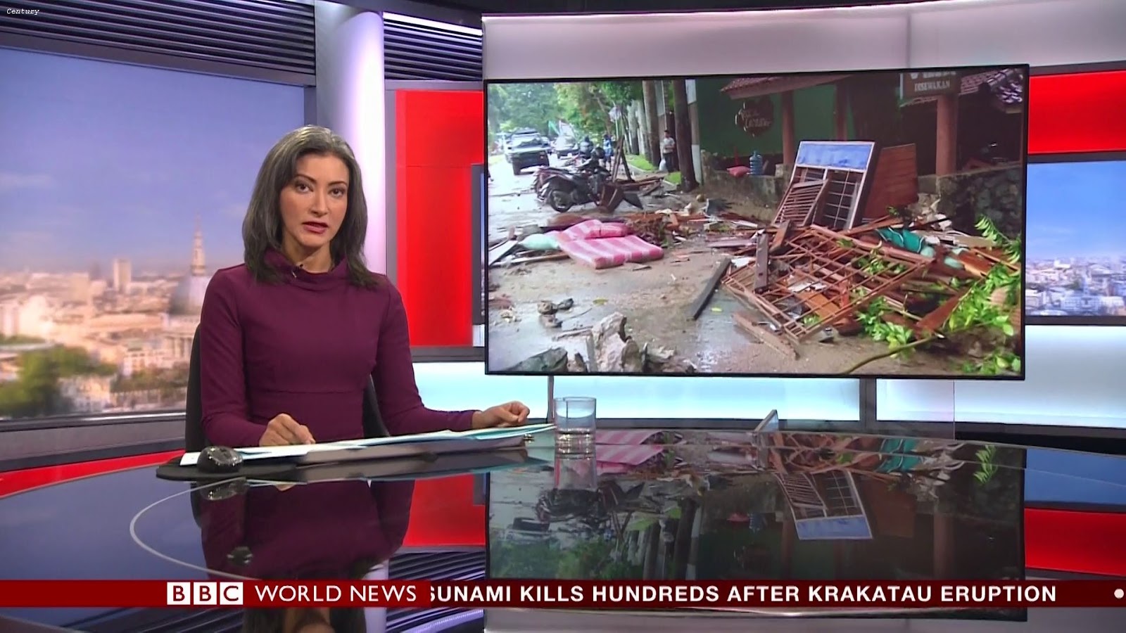 Sharanjit Leyl - 23 Dec 18 - BBC World News (I)
