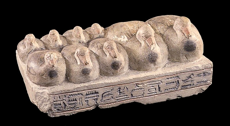 Egipto en imagenes: The sacred geese of Amun