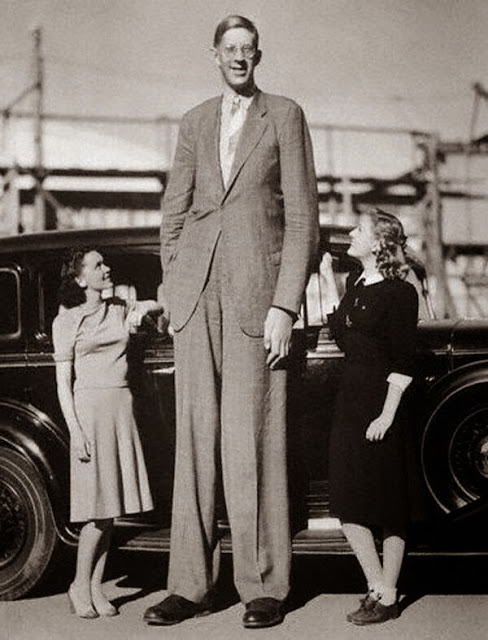 História em Imagens: O Homem Mais Alto da História