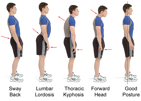 HEALTH COACH: Stress-free Posture and Body Mechanics. Part One: Soft ...