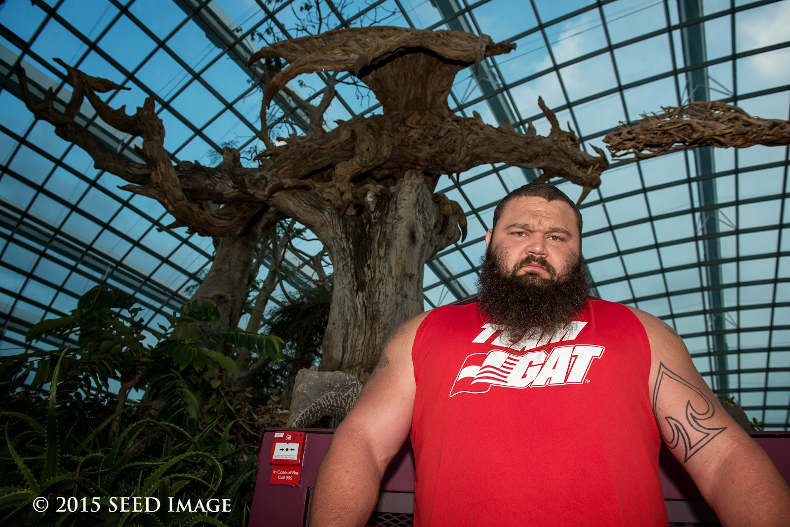 Seed Writes....: World Pro Strongman Robert Oberst was here in ...