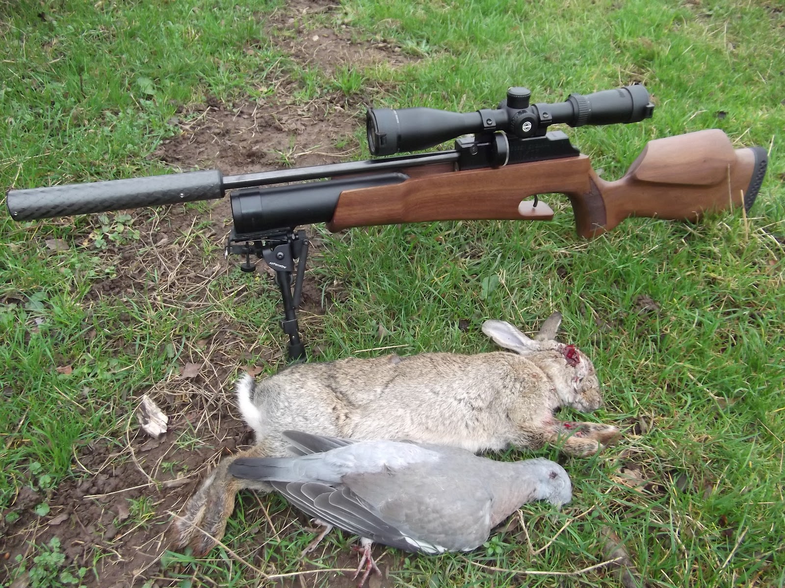 MY HUNTING TRIPS: Hawke Varmint on Test.
