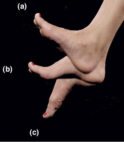 Helpful Healthy Movement Habit Hints for Flexing the Foot