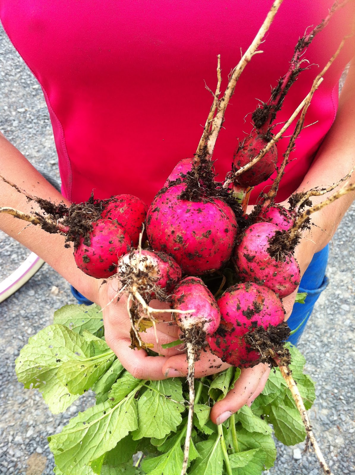 Manny's Backyard Gourmet