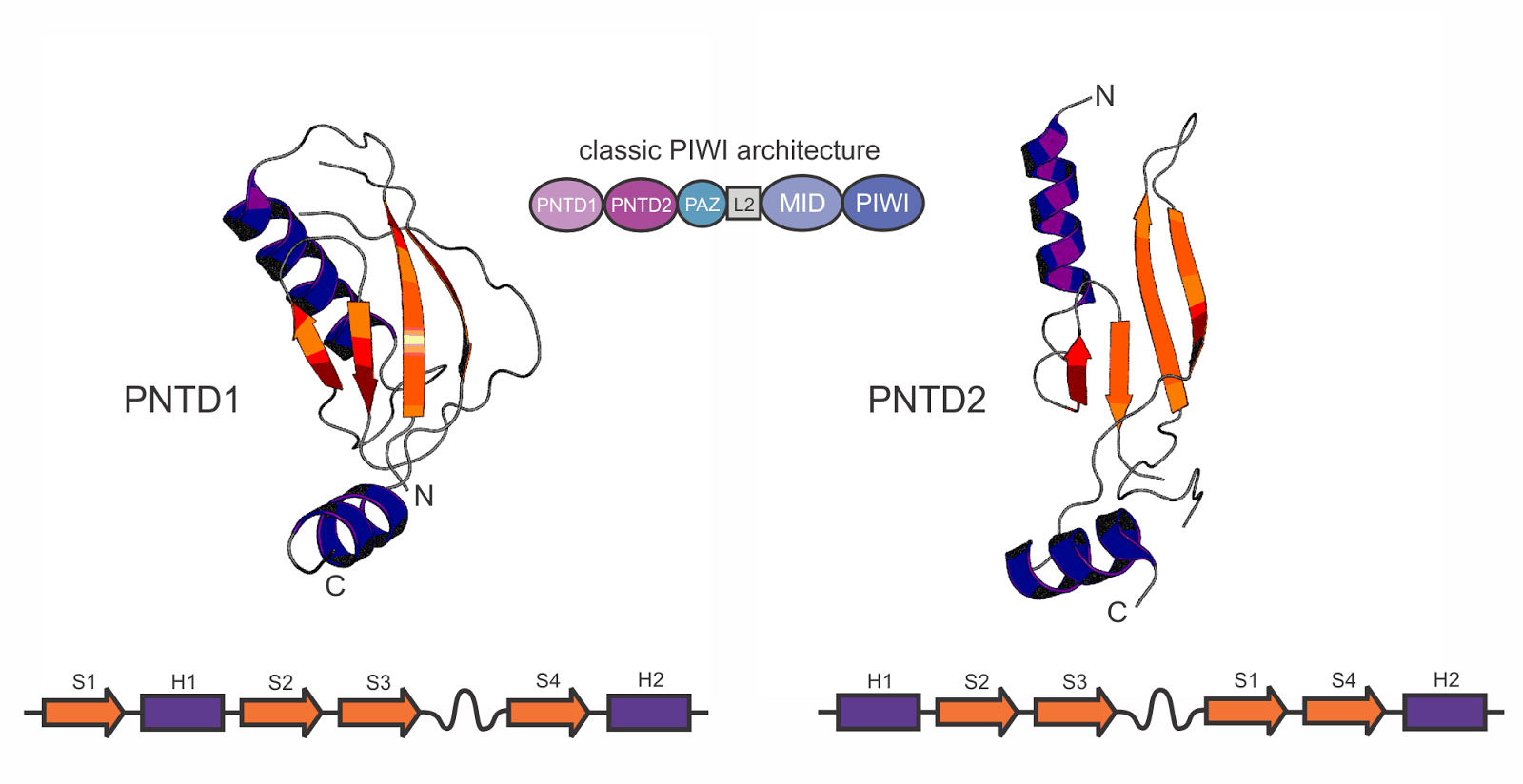 Research Highlights of the Aravind group: PIWI domain evolution
