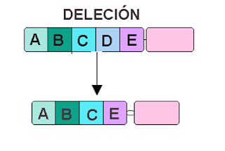 BIOLOGO (plebe chacaloso).: UNIDAD # 5