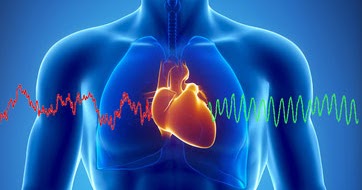 cours Biophysique - exomaroc