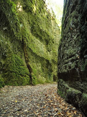 Italy: The Vie Cave of Tuscany- Etruscan Highways | Minor Sights