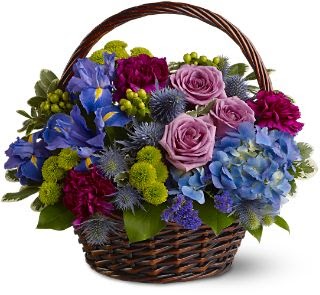 Travel Journey: Types of Bookey Flower